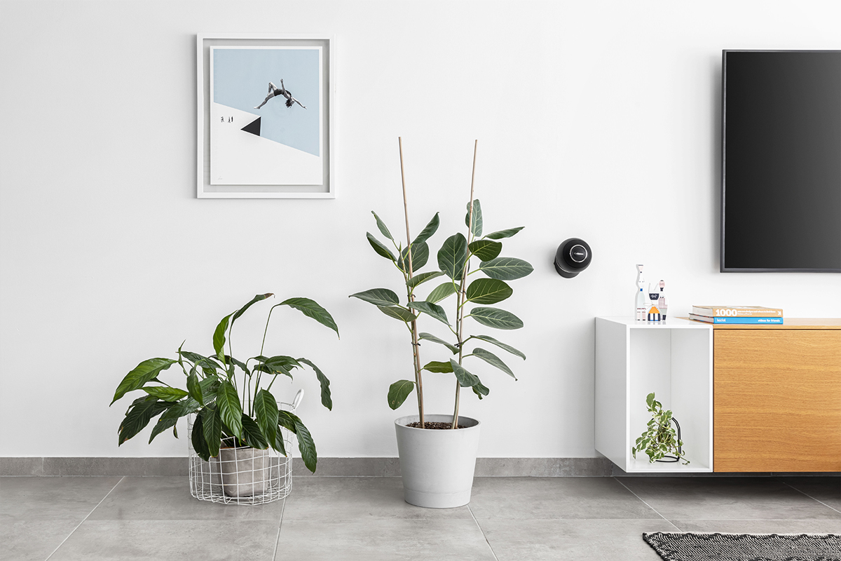 איך מלבישים בית בתקציב מוגבל - ענבל לוין